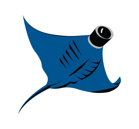 ROV Check-Up Program | VideoRay