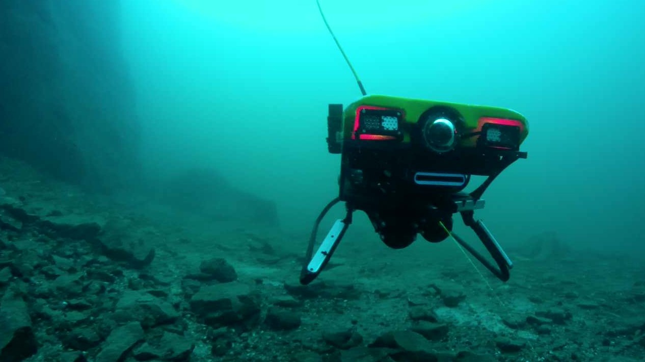 VideoRay And Sonardyne Demonstrate Benefits Of Combined Technologies ...