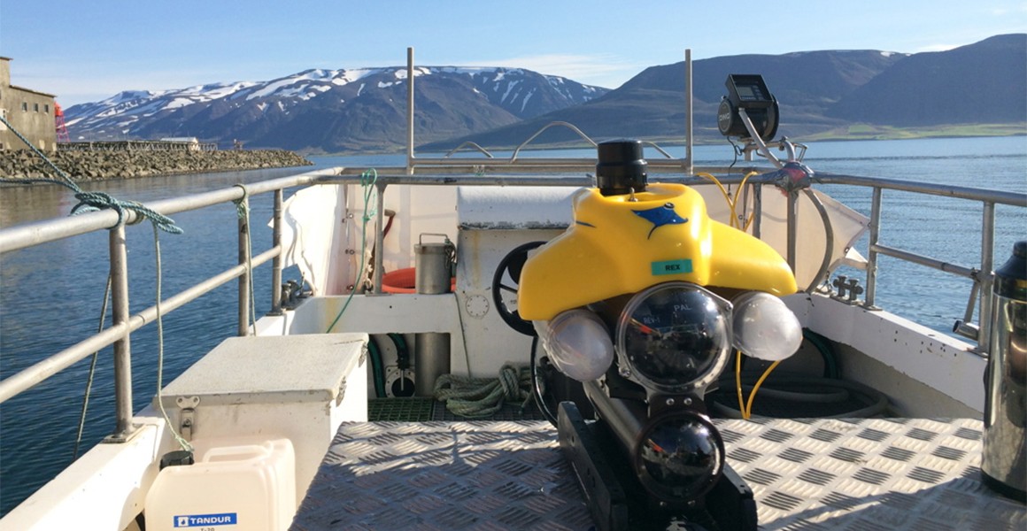 FEBRUARY 16, 2016 - VideoRay Pro 4 ROV Creates "Wow Moments" for London ...